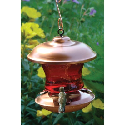Copper Ruby Glass Hummingbird Feeder | The Cozy Nest